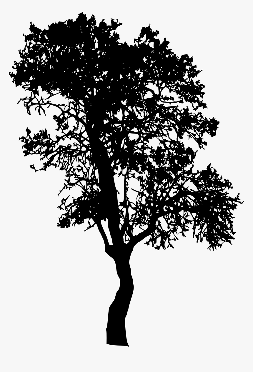 Black Tree Transparent Background