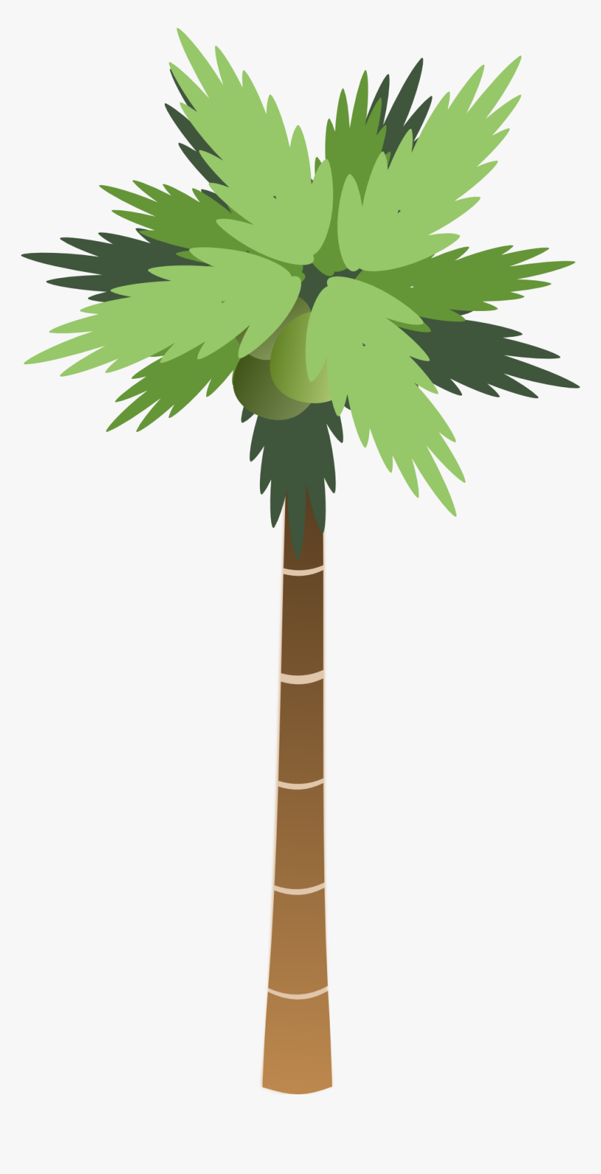 Palm Tree Png - Ascending And Descending Numbers, Transparent Png ...