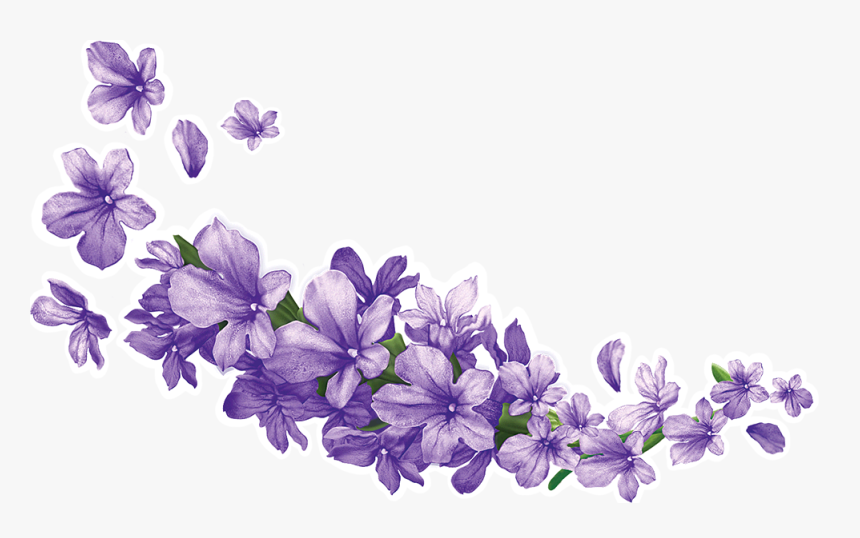 Clipart Lavender Flowers