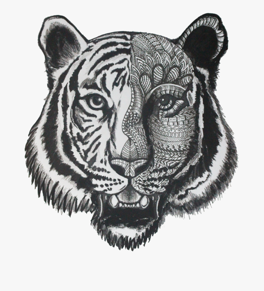 Transparent Tiger Pattern Png - Sketch Of Tigers Face, Png Download ...