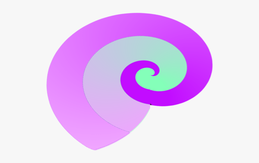 Seashell - Circle, HD Png Download , Transparent Png Image - PNGitem