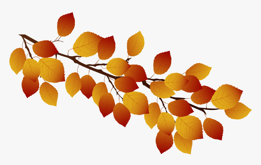 Autumn Branch Png - Branch Of Fall Leaves Clipart, Transparent Png ...