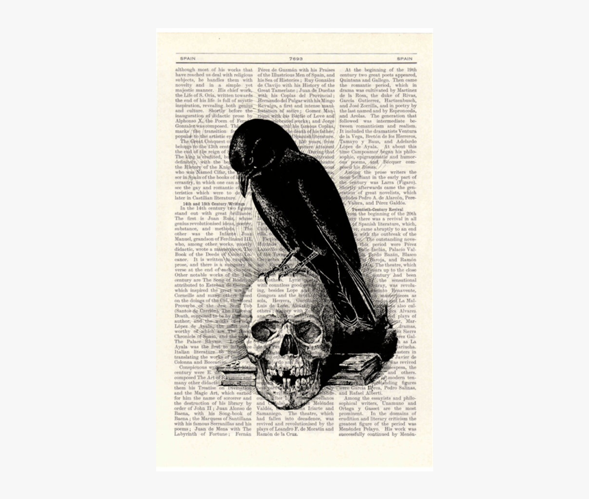 Raven Skull Drawing