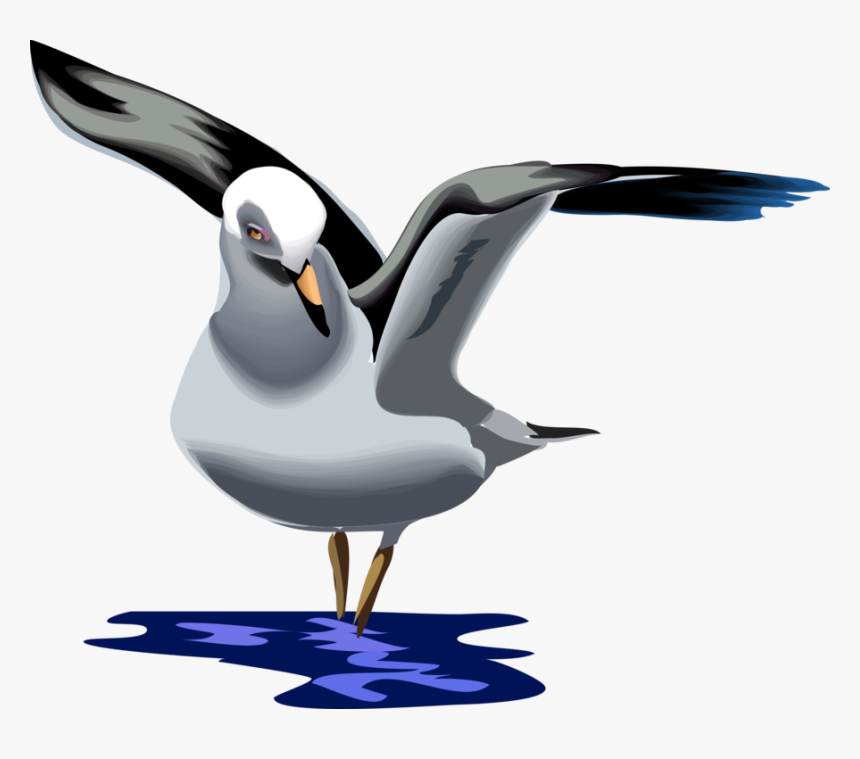 Seagull, Gull, Sea-gull, Bird, Waterfowl, Wings, Water - Animated ...