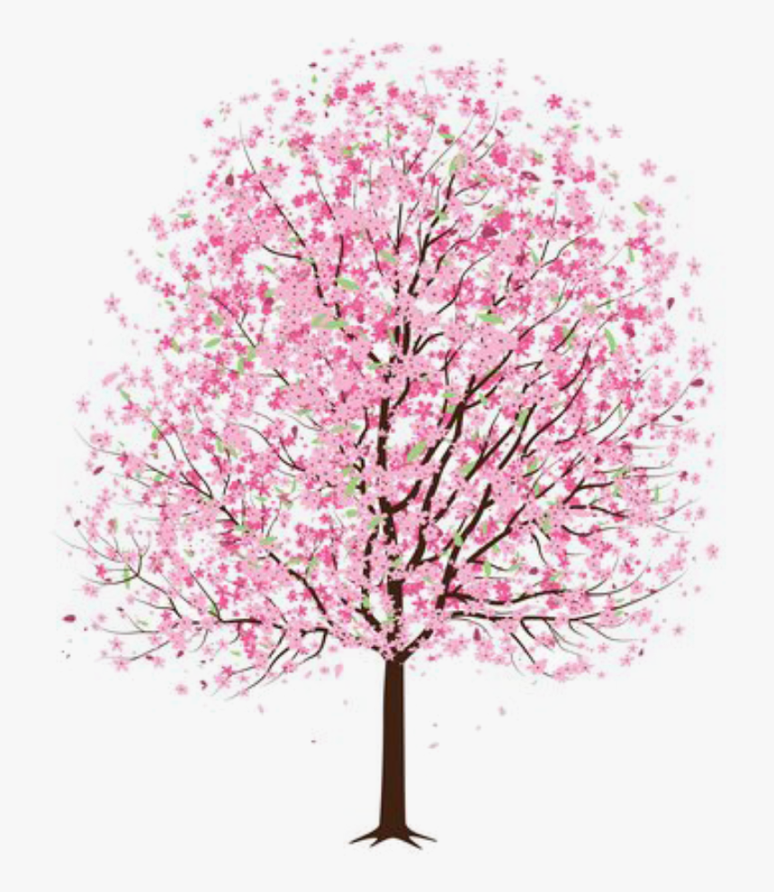 Mq Pink Flower Flowers Tree Trees - Trees Flowers Png, Transparent Png ...