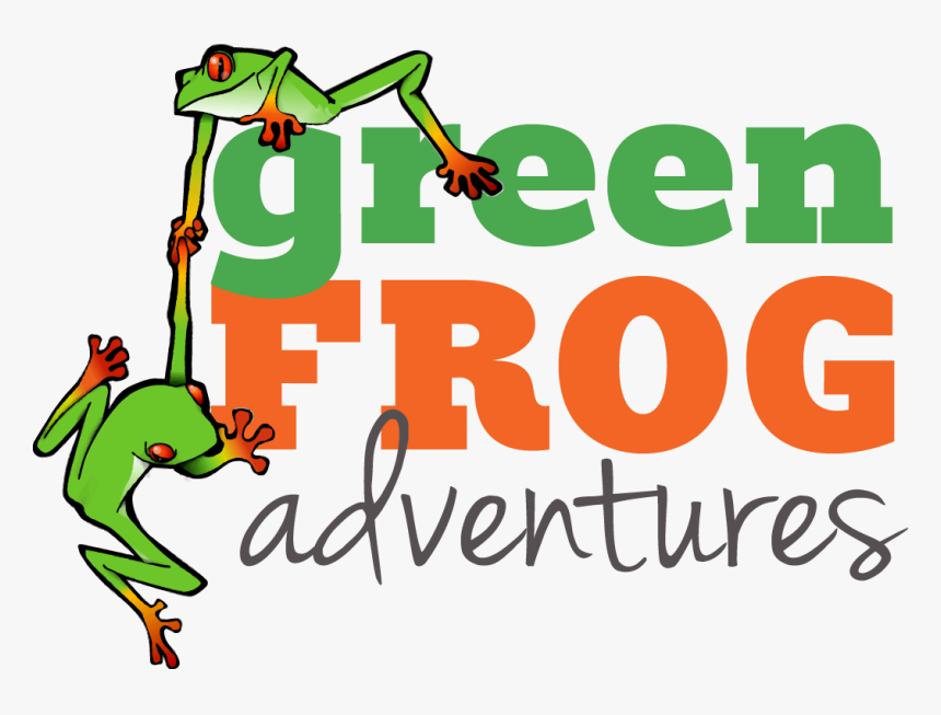 Go Green Frog Logo, HD Png Download , Transparent Png Image - PNGitem