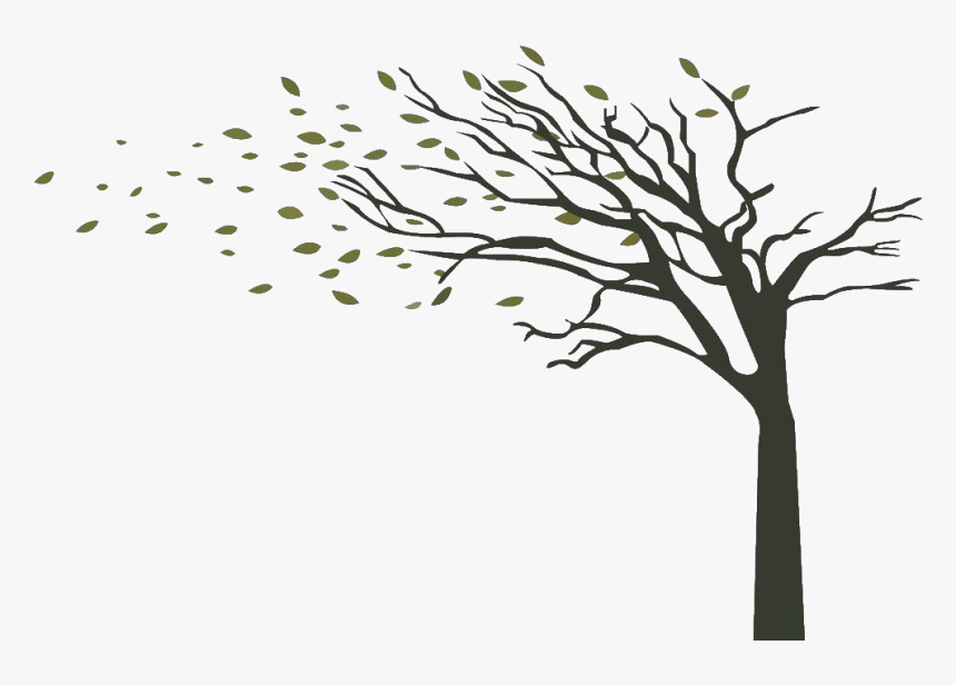 Wind Drawing Tree - Free Wall Sticker Mockup, HD Png Download ...