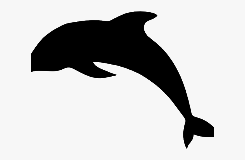 Dolphin Shadows, HD Png Download , Transparent Png Image - PNGitem