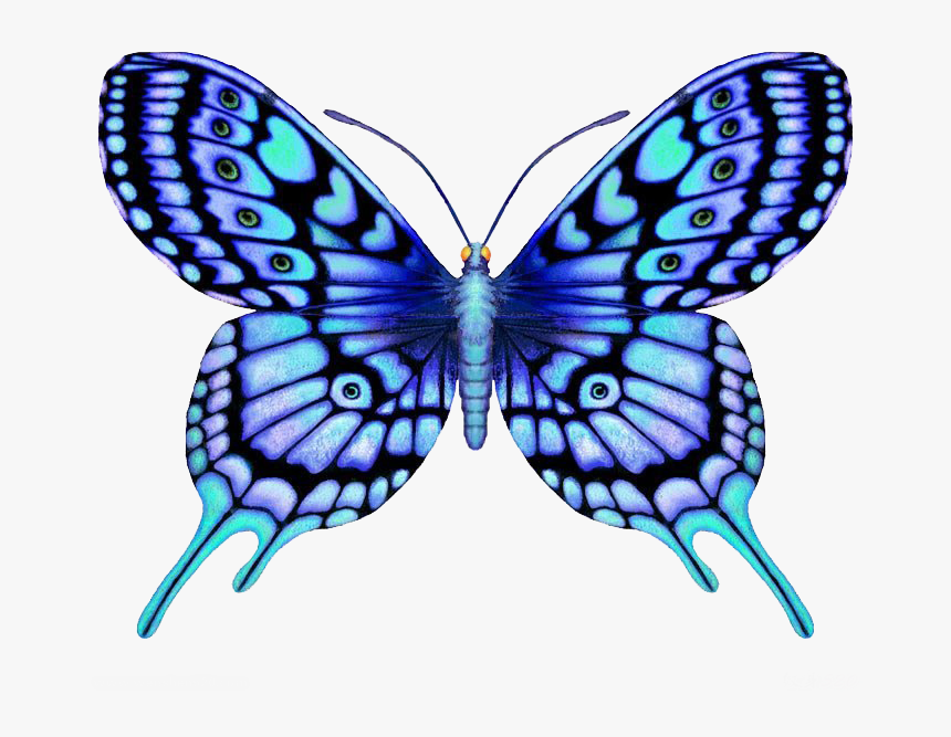 Clip Art Large Color Supernatural - Symmetrical Design Of Butterfly, HD ...