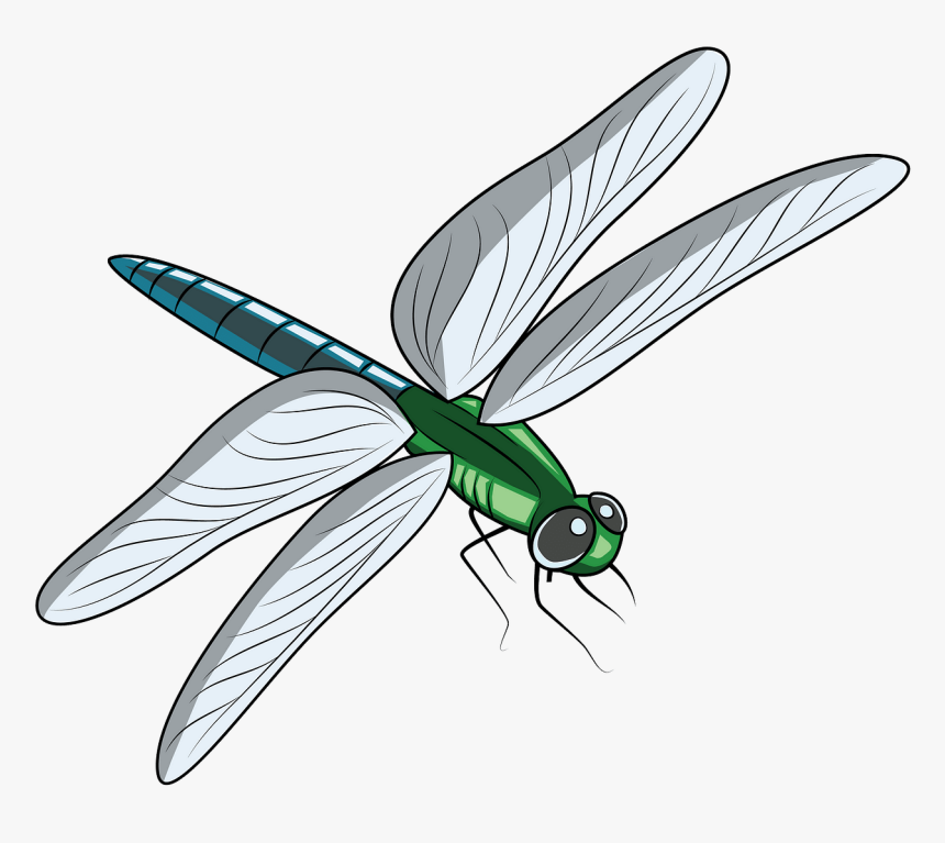 Free Download Creazilla - Dragon Fly Pond Clipart, HD Png Download ...