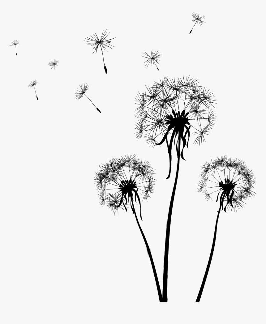 Clip Art Dandelion Graphic - Dandelion Clip Art, HD Png Download ...