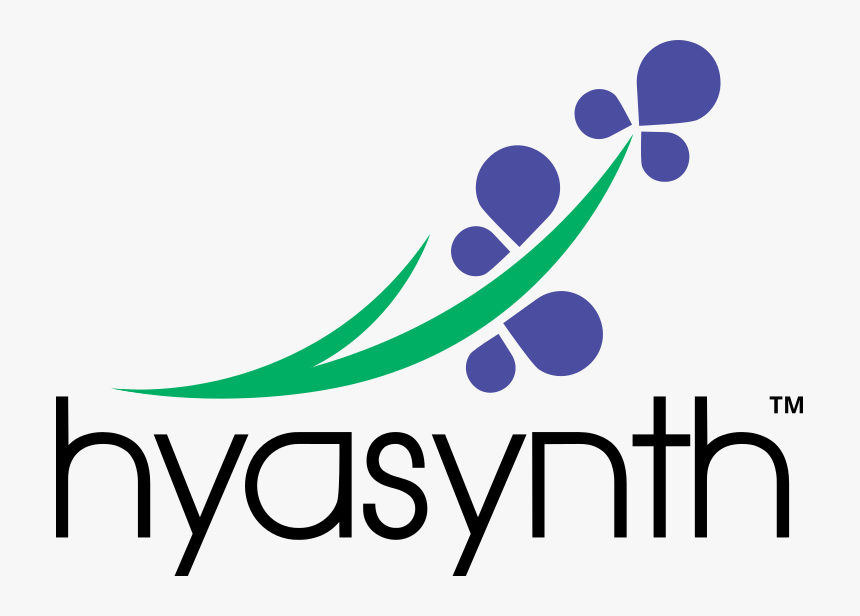 Bitmap, HD Png Download , Transparent Png Image - PNGitem