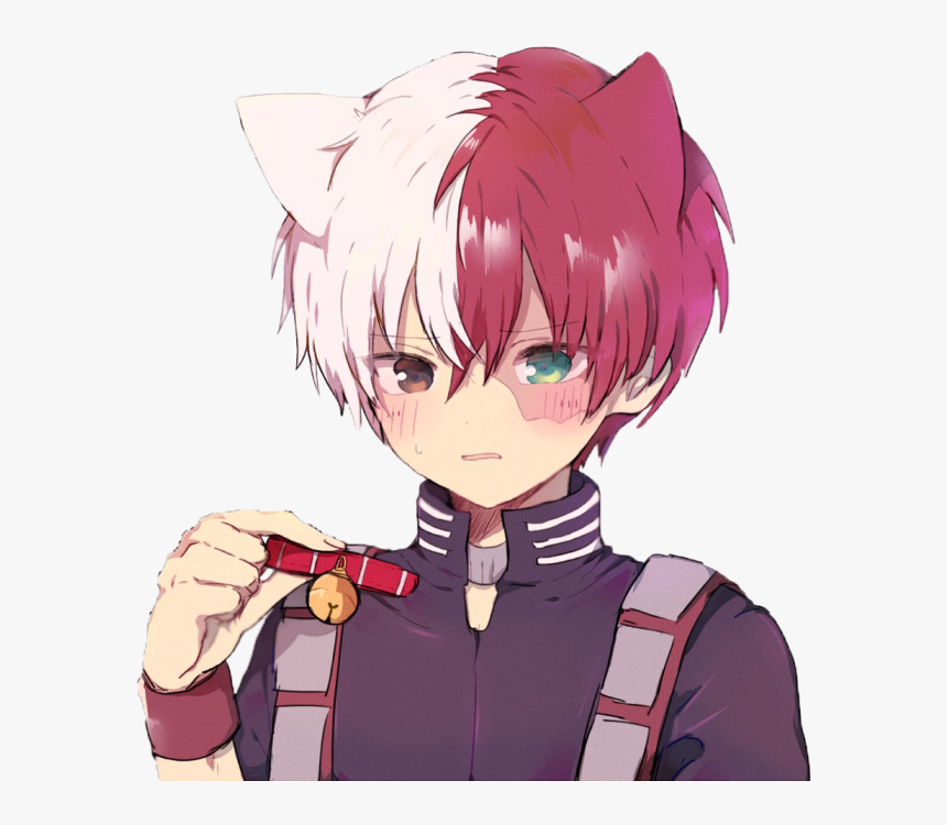 My Hero Academia Cats, HD Png Download , Transparent Png Image - PNGitem