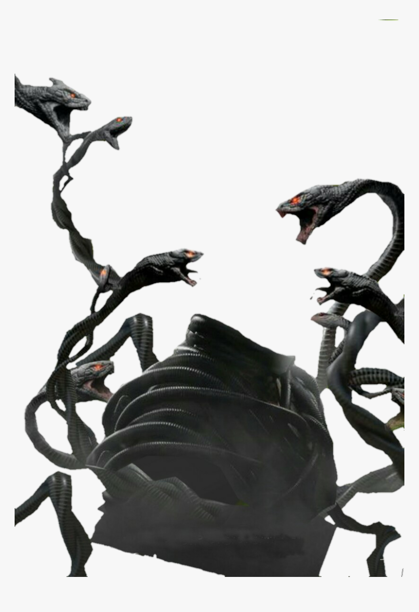 Snake Png For Picsart, Transparent Png , Transparent Png Image - PNGitem