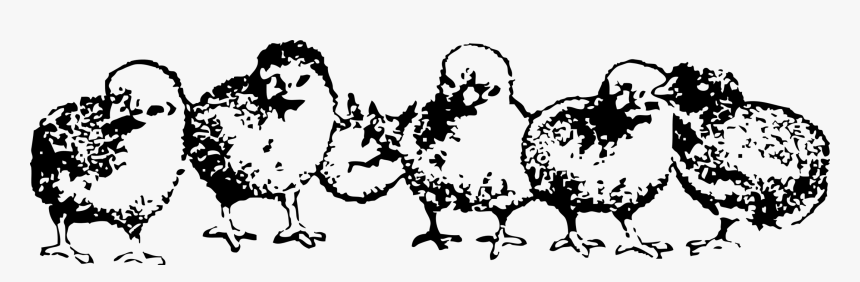 Baby Chick Clip Art Black And White