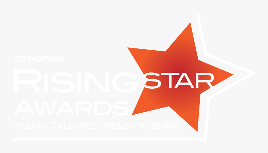 2017 Rising Star Awards - Graphic Design, HD Png Download , Transparent ...