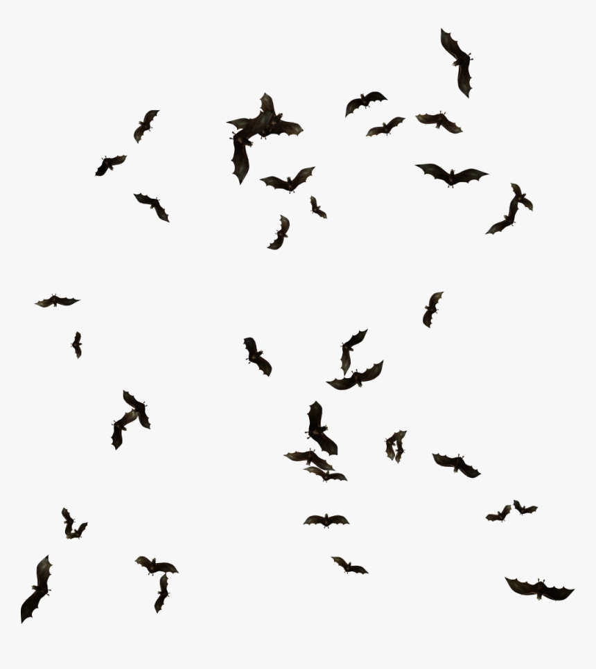 Transparent Flying Bats Png, Png Download , Transparent Png Image - PNGitem
