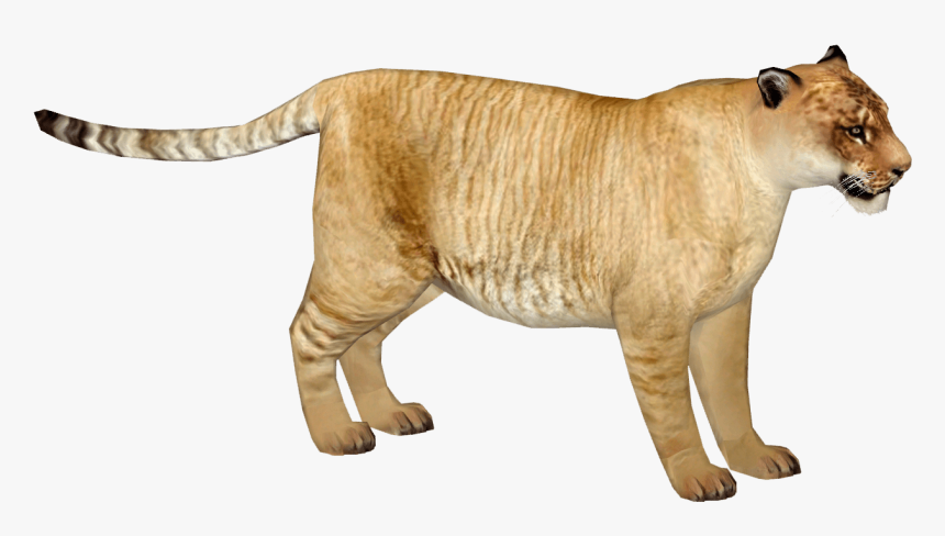 Liger Png, Transparent Png , Transparent Png Image - PNGitem