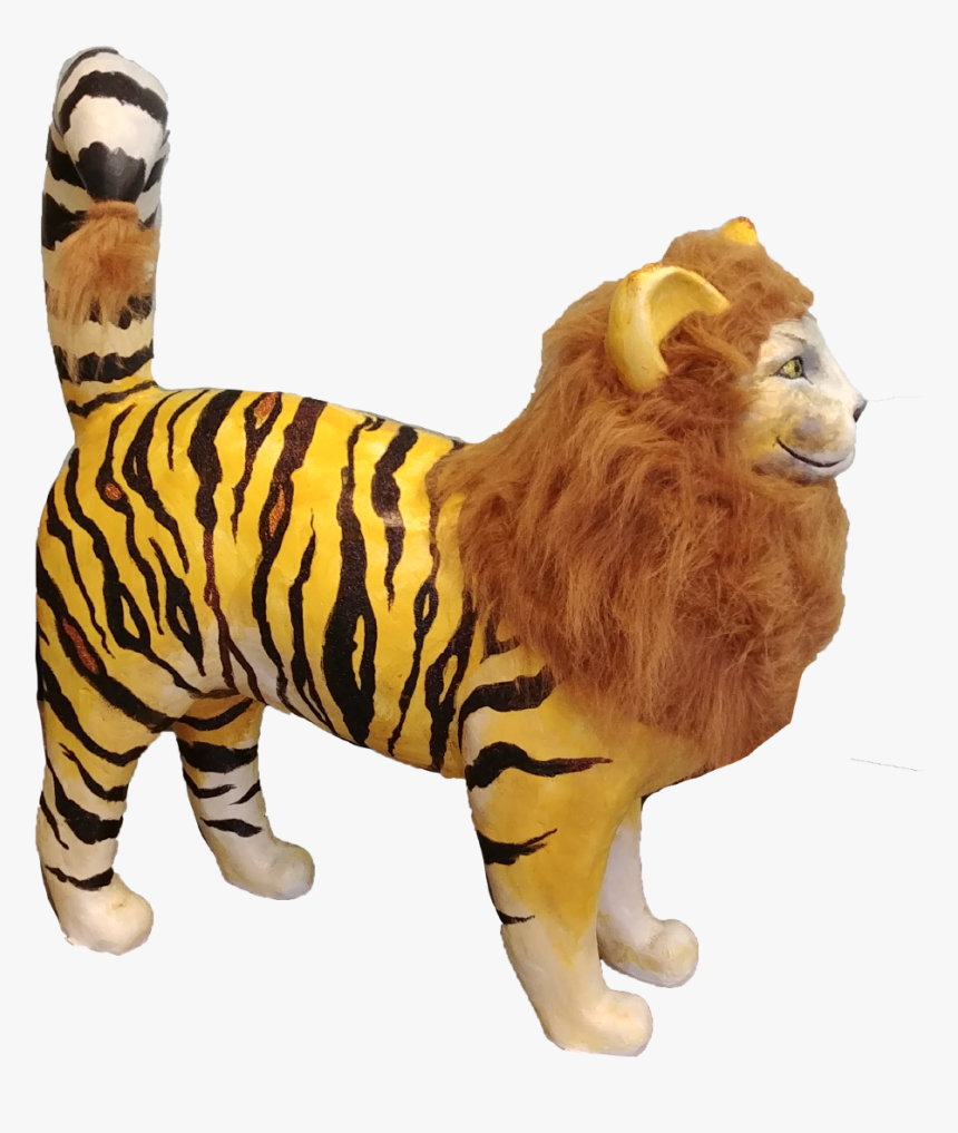 Liger By Susan Schiesser - Siberian Tiger, HD Png Download ...