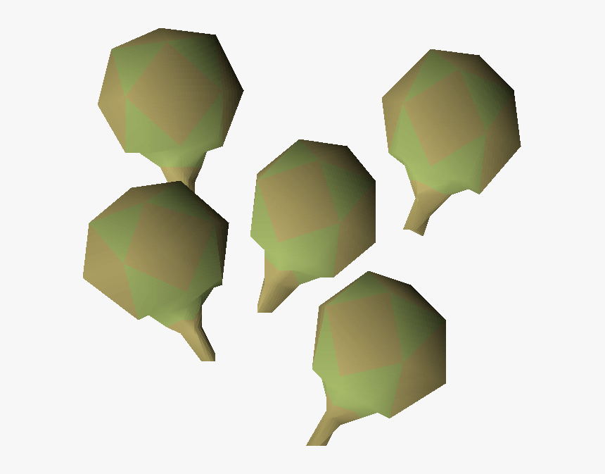 Potato Cactus, HD Png Download , Transparent Png Image - PNGitem