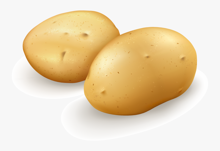 Potato Vector Png, Transparent Png , Transparent Png Image - PNGitem