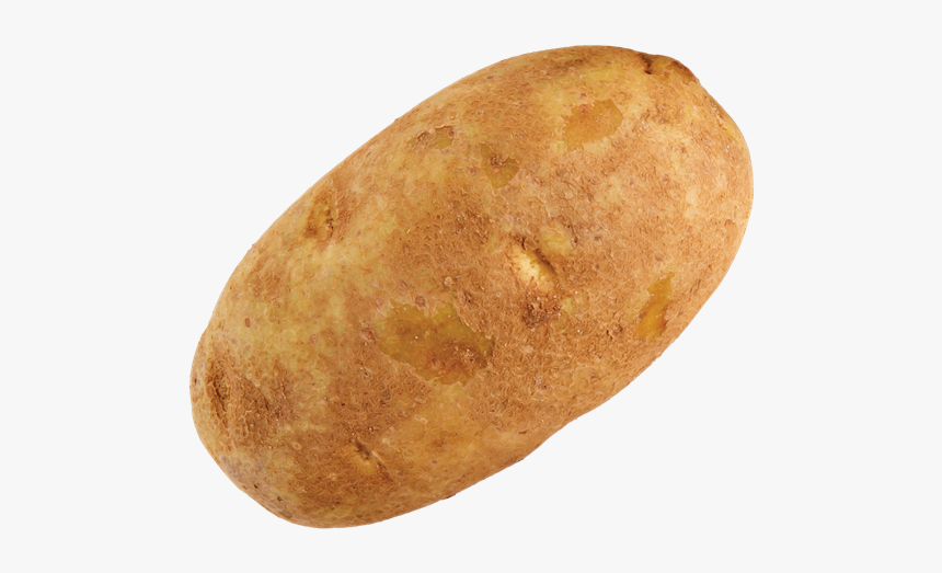 Russet Burbank Potato, HD Png Download , Transparent Png Image - PNGitem