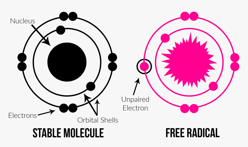 Molecule And Free Radical Diagrams - Free Radical Molecules, HD Png ...