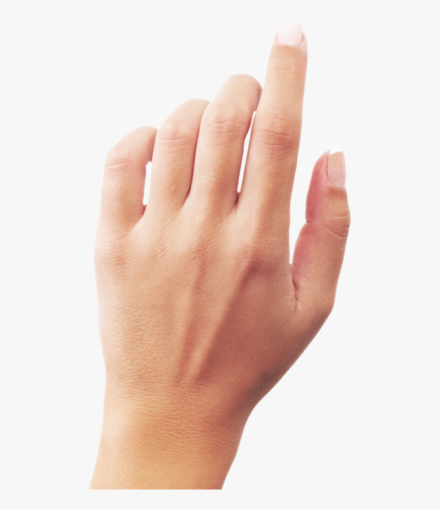 Hand Png, Transparent Png , Transparent Png Image - PNGitem