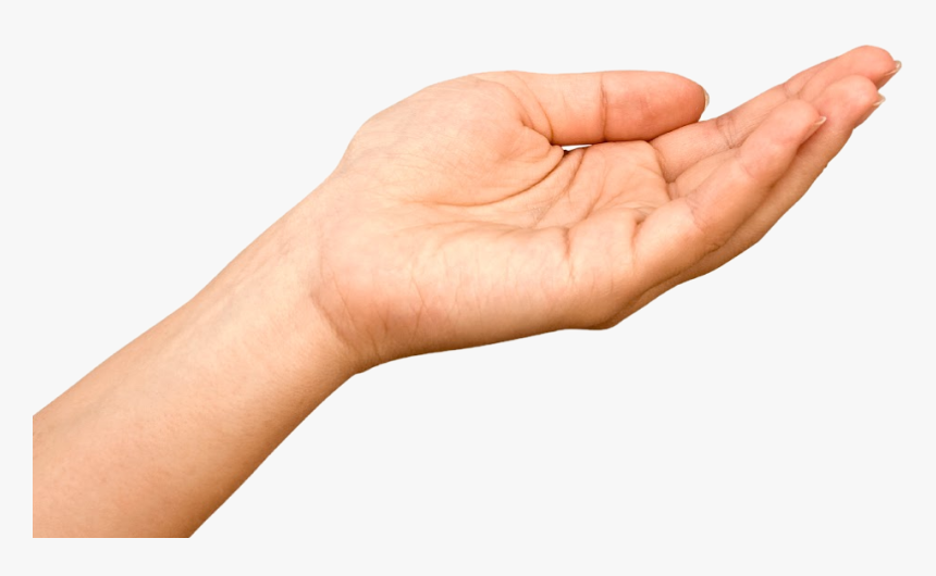 Hand Receiving , Png Download - Hand Receiving Transparent Background ...
