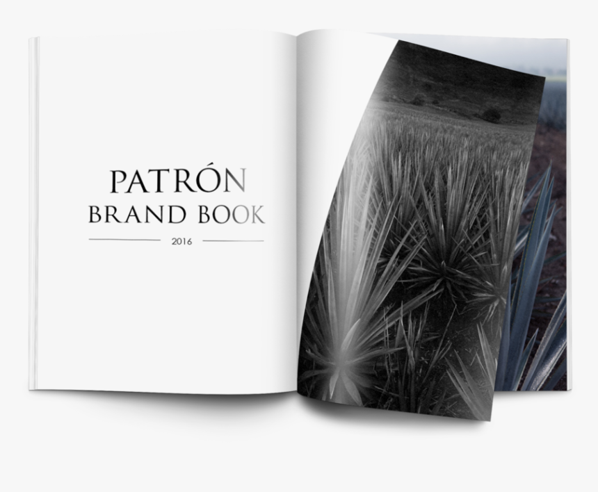 Patron Bb1 - Book Cover, HD Png Download , Transparent Png Image - PNGitem