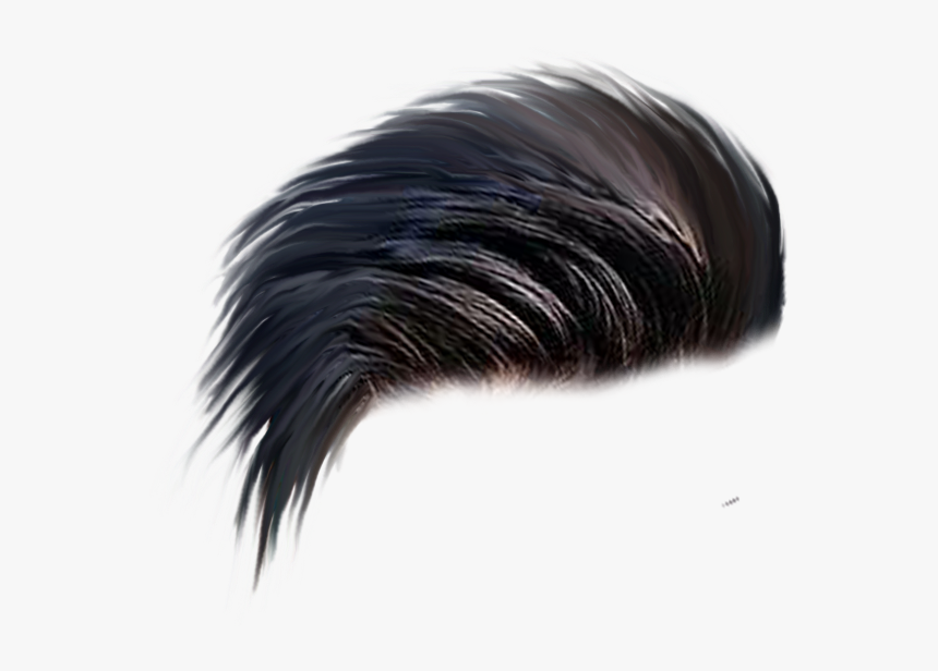 Png Of Hair Style, Transparent Png , Transparent Png Image - PNGitem