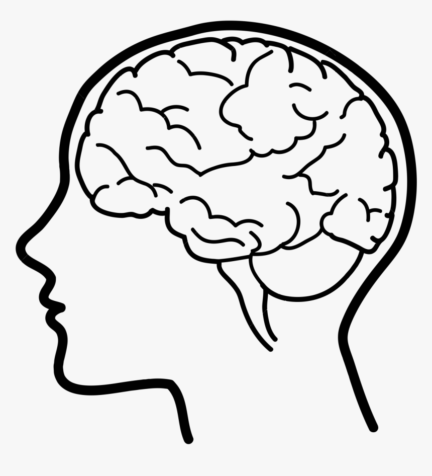 Two Sides Of Human Brain Drawing By Frank Ramspott Two Sides Of Human Brain Drawing By Frank Ramspott