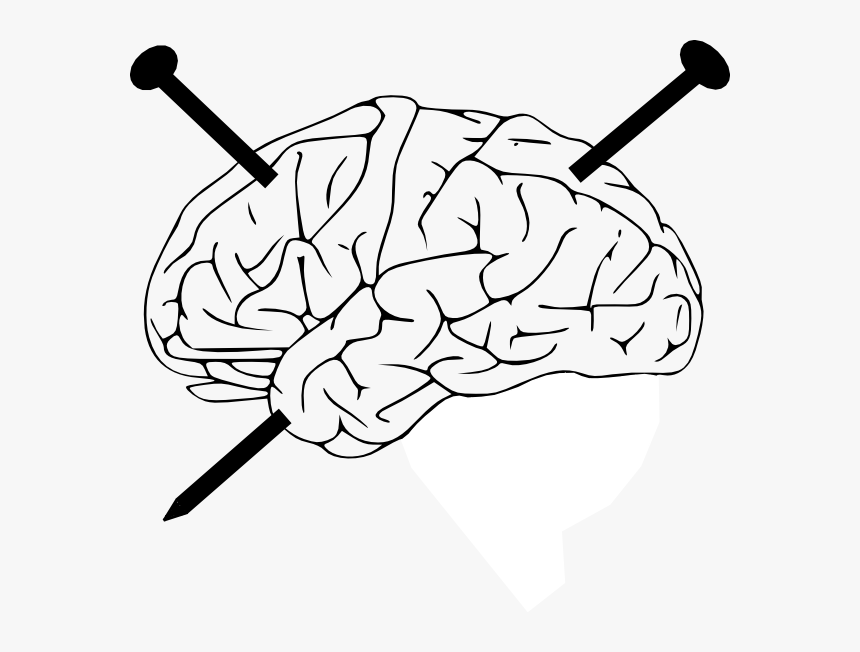 Transparent Brain Clip Art - Brain Clipart Transparent Background, HD ...
