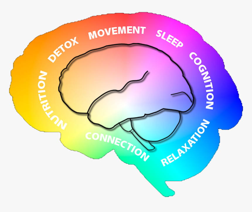 Do You Have A Rainbow Brain, HD Png Download , Transparent Png Image ...