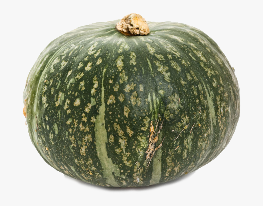 T Bones Fresh - Green Types Of Squash, HD Png Download , Transparent ...