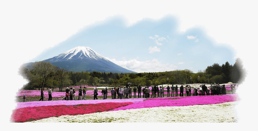 Mount Fuji, HD Png Download , Transparent Png Image - PNGitem