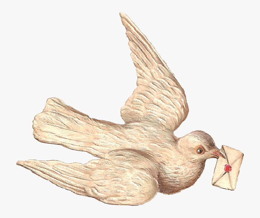 Dove With A Letter - Sending Letter Through Birds, HD Png Download ...