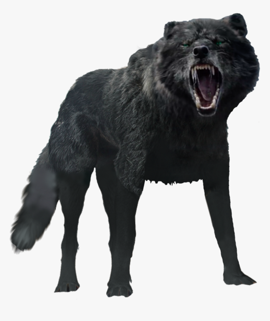 Black Wolf Png, Transparent Png , Transparent Png Image - PNGitem