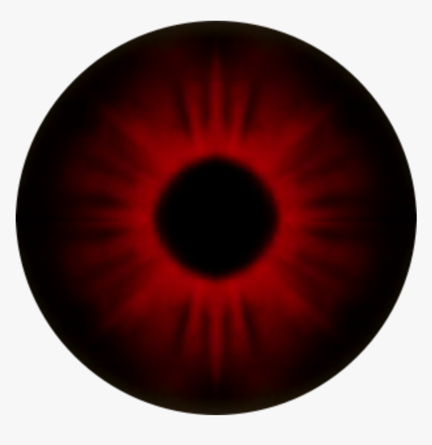 Circle, HD Png Download , Transparent Png Image - PNGitem