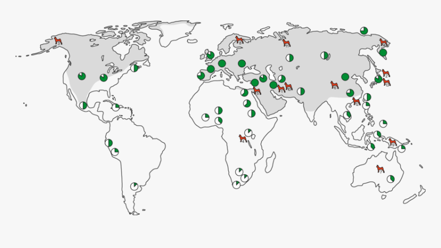 Wolves Around The World Map, HD Png Download , Transparent Png Image ...
