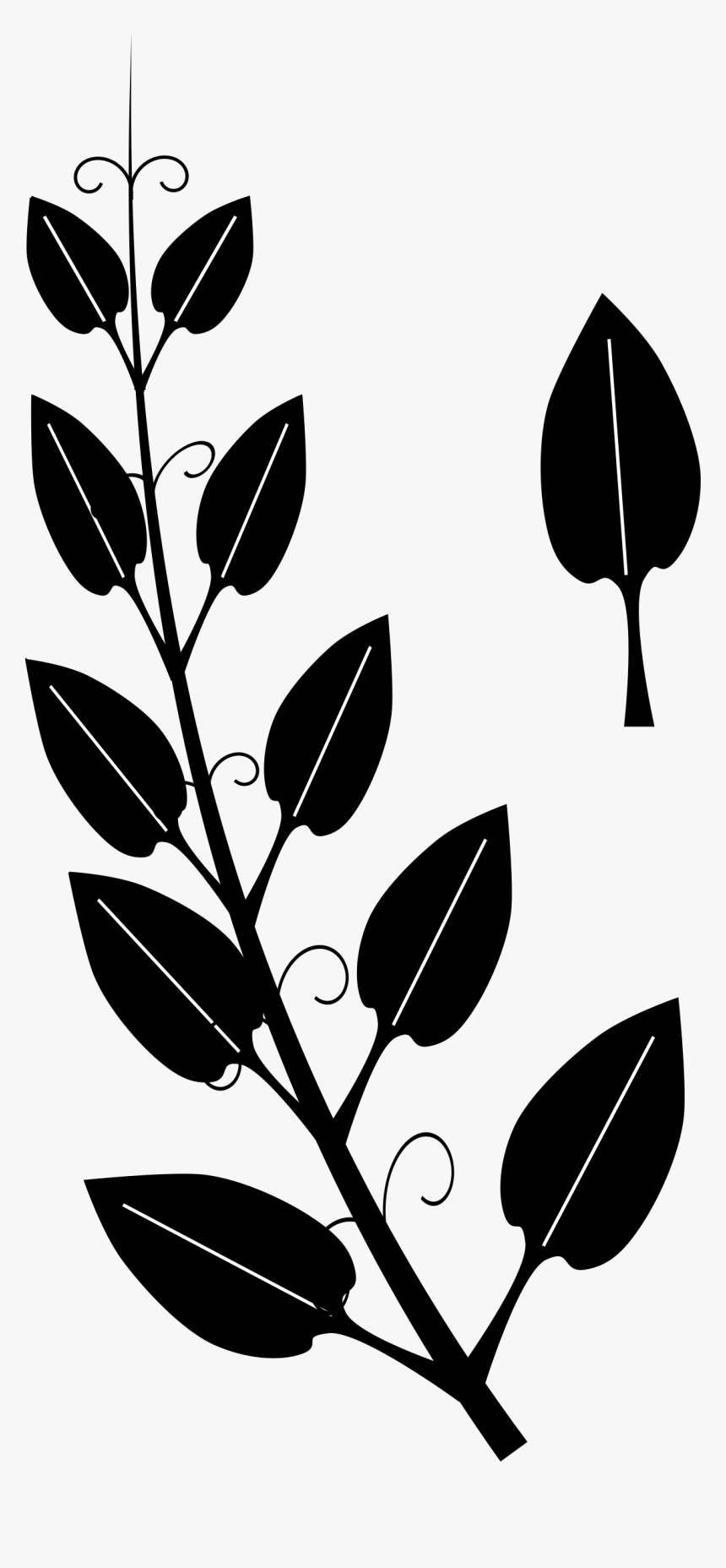 Stylized Vine Clip Arts - Vines Vector Png White, Transparent Png ...