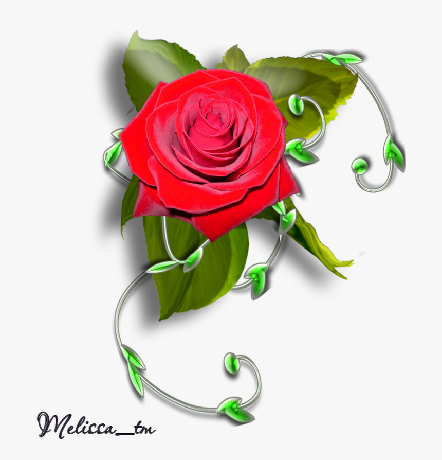 Element Rose With Leaves And Swirl Png By Melissa-tm - Roses Element ...