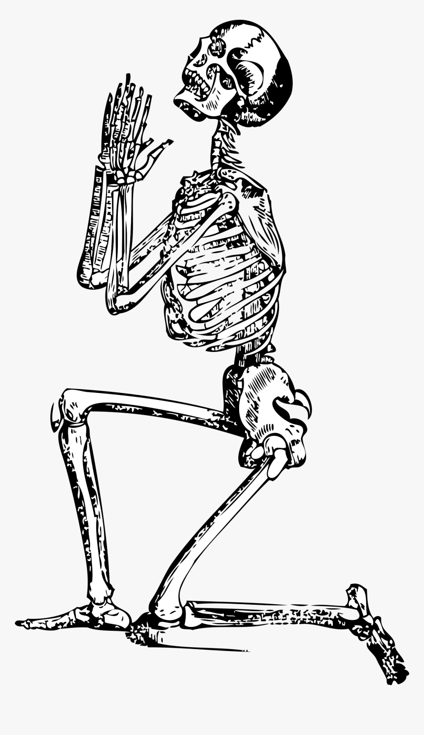 Praying Skeleton Clip Arts - Skeleton Praying Png, Transparent Png ...