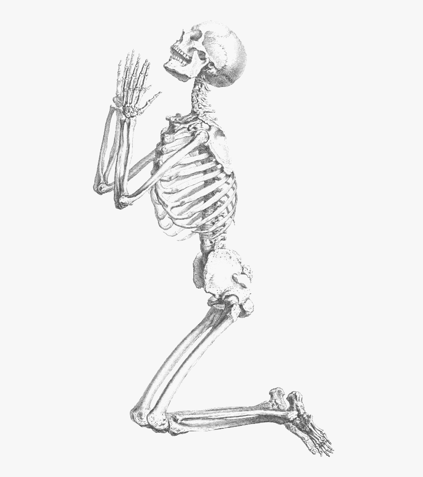 Praying Holiday Halloween Html - Praying Skeleton Png, Transparent Png ...