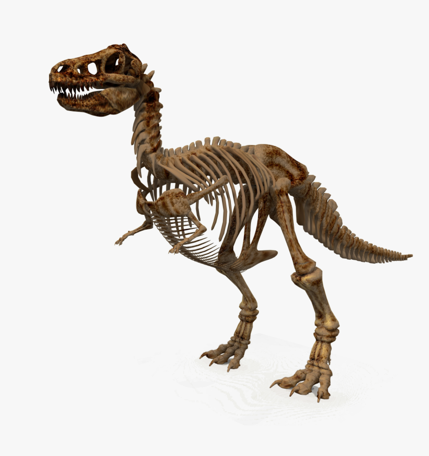 Free Png Download Dinosaur Png Images Background Png - Dinosaur ...