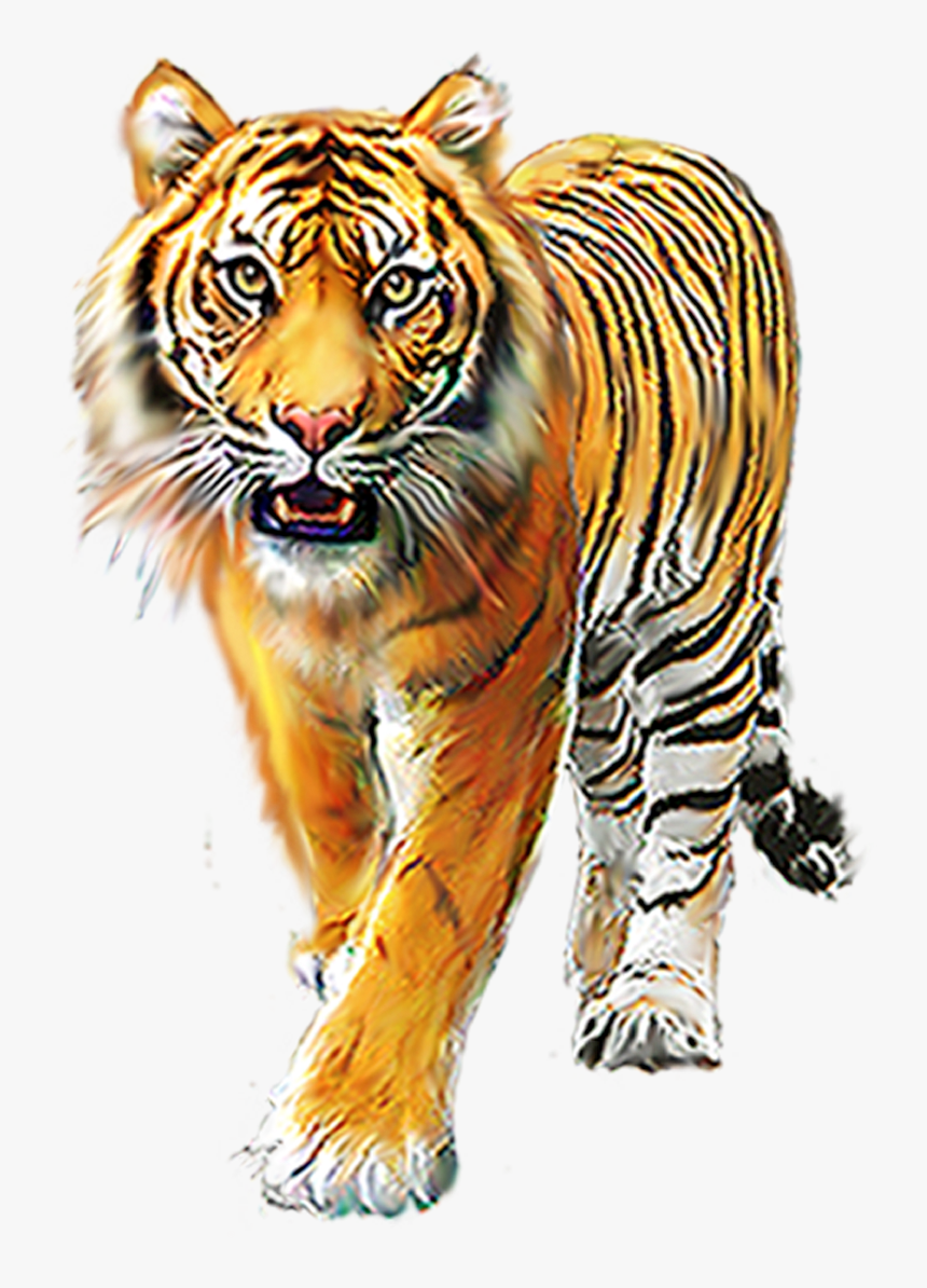 Animals Png, Transparent Png , Transparent Png Image - PNGitem