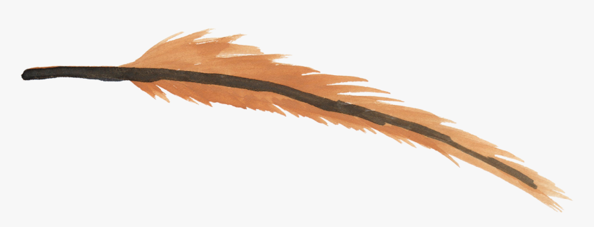 Feather Watercolor Png Brown, Transparent Png , Transparent Png Image ...