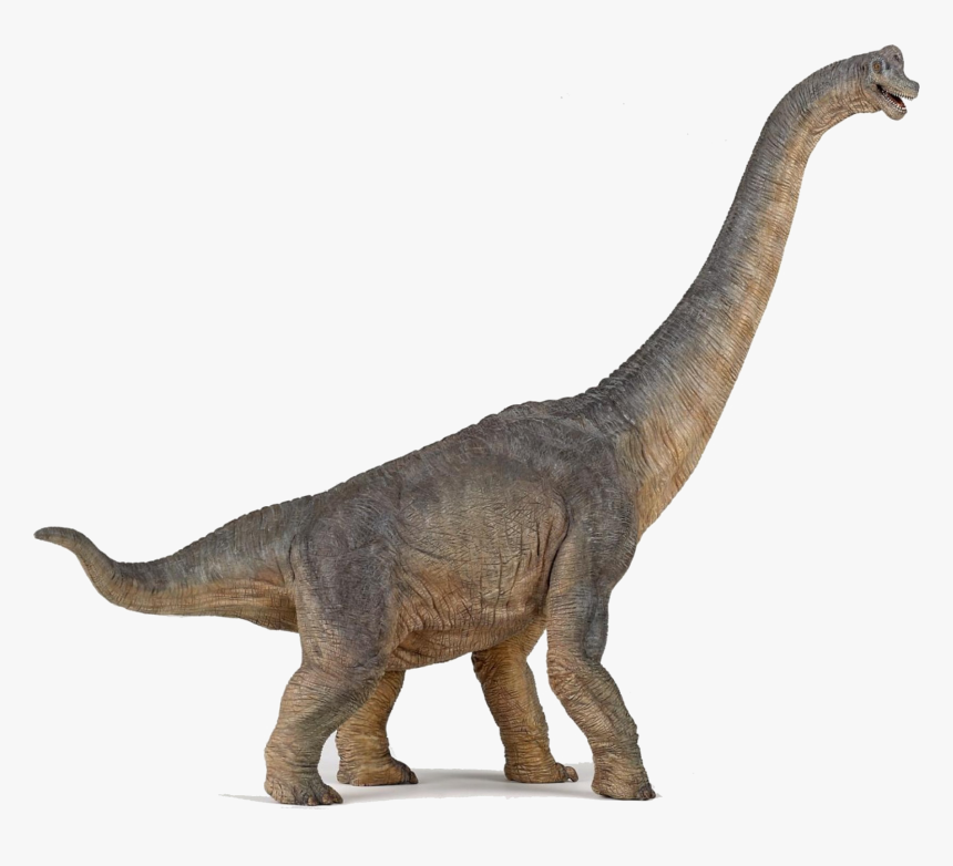 Dinosaur Picture Png, Transparent Png , Transparent Png Image - PNGitem