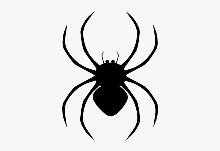 Spider Hd Clipart X Transparent Png - Spider, Png Download ...