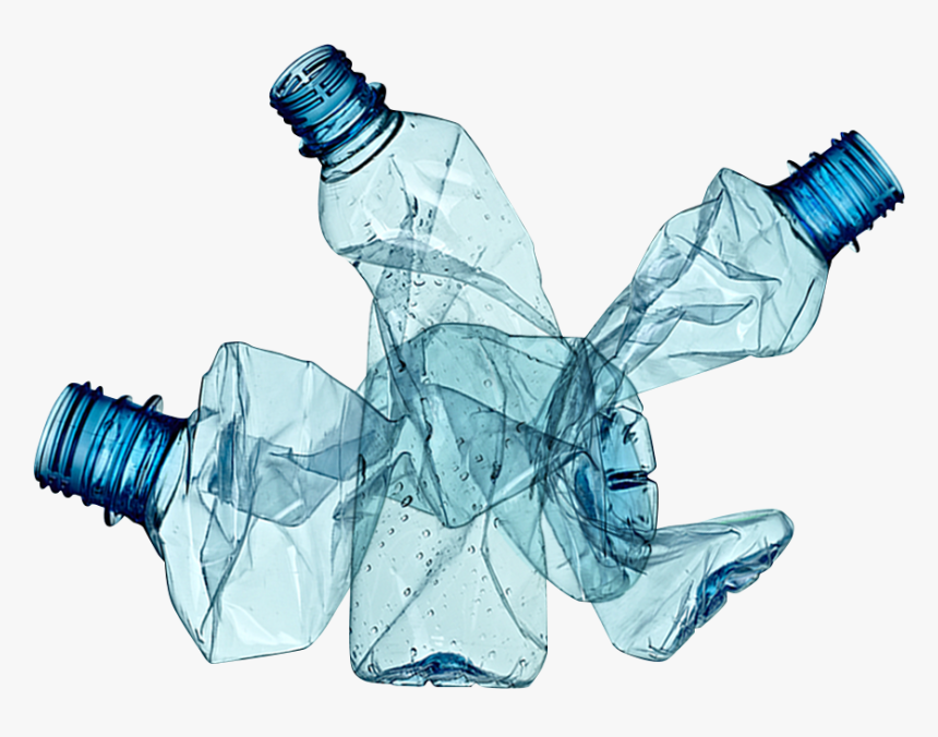 Learn More About Single Use Plastics And The Environment - Single Use ...